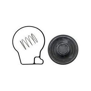 Kit De Membrane Pour Mercedes-Benz 5410180233 - P44011125