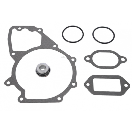 Kit Joint Pompe À Eau Pour Mercedes A 4572000401 - P44011136