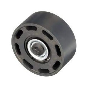 Galet Pour Volvo 22307253 - P44012599