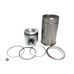 Cylindrée Moteur Pour Iveco 2996142 - P44013083